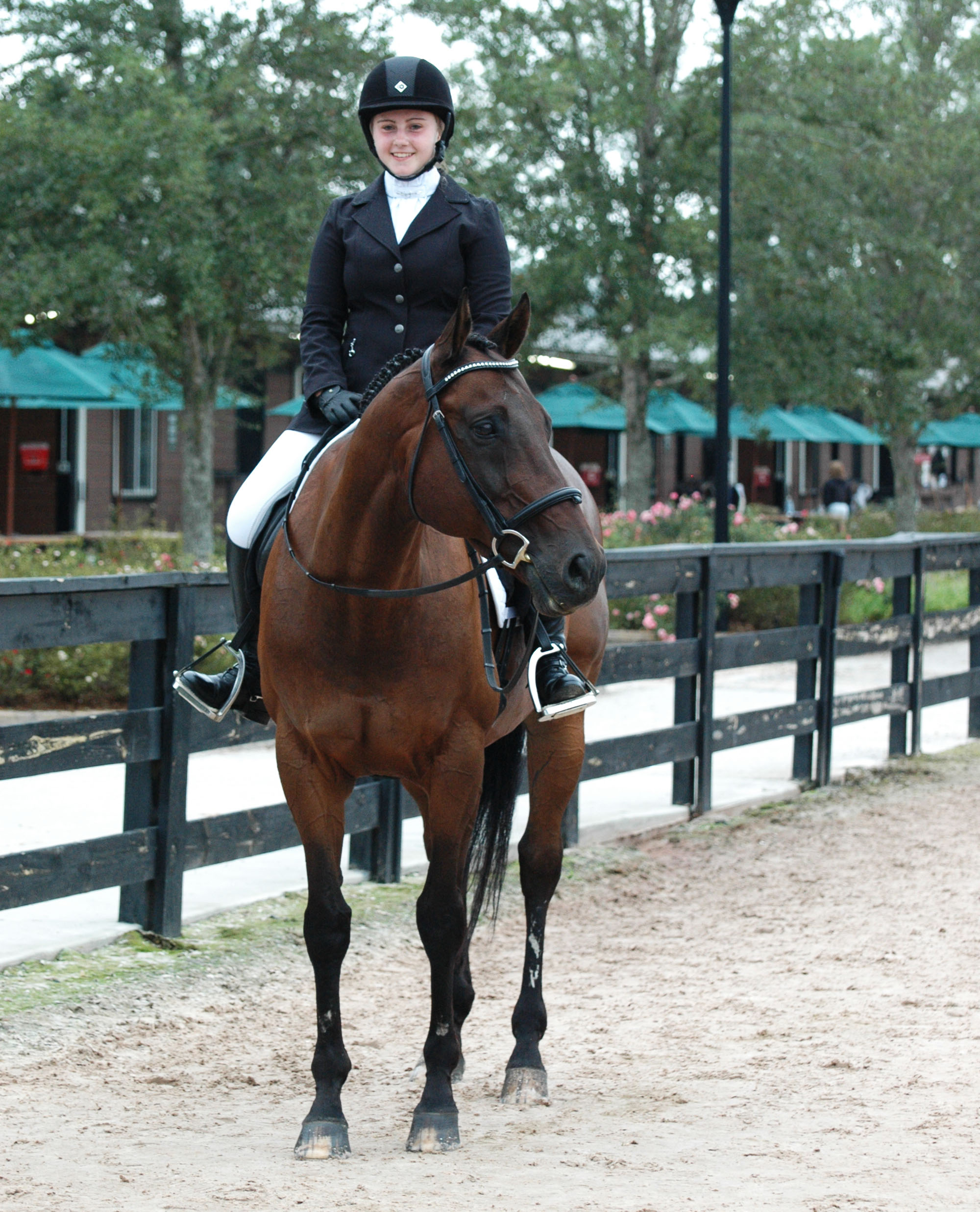 Team Harmony Gallery – Harmony Horse Stables