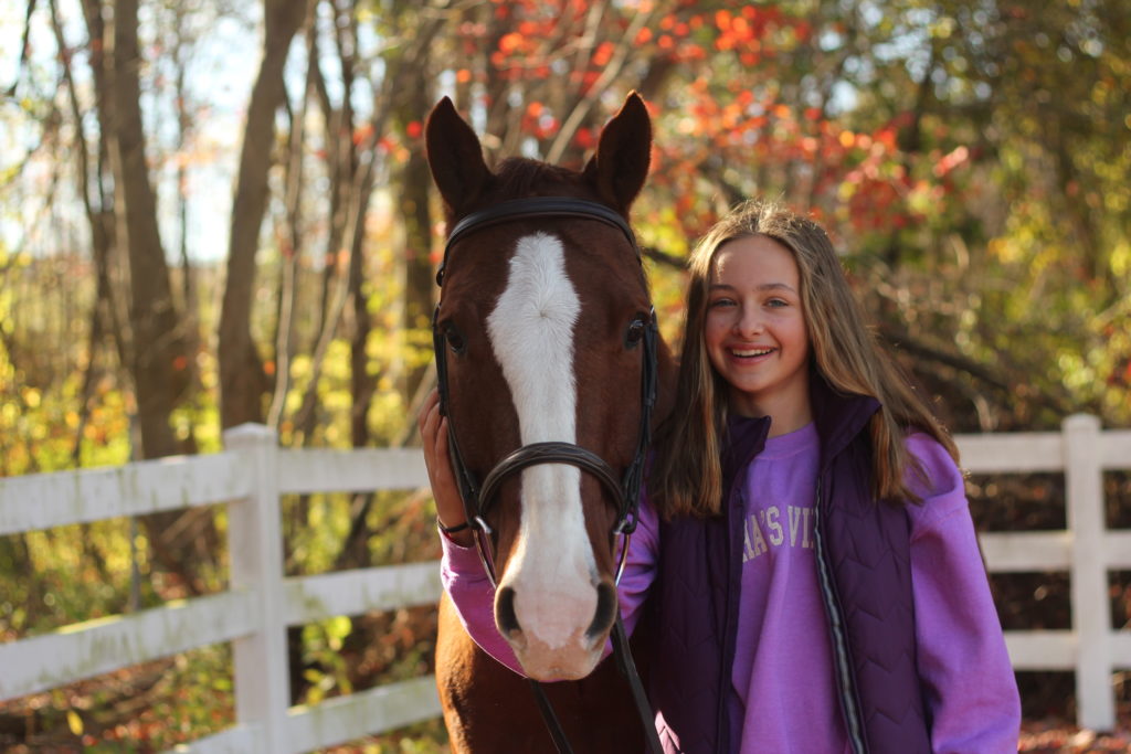 Leasing – Harmony Horse Stables