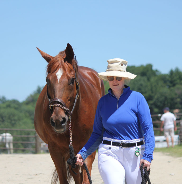 Team Harmony – Harmony Horse Stables
