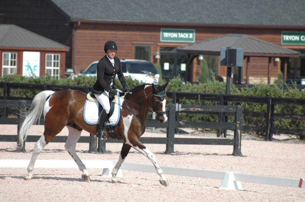 Team Harmony Gallery – Harmony Horse Stables