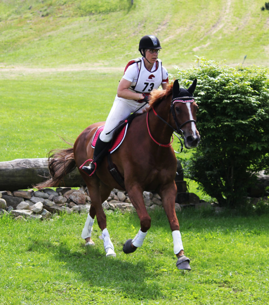 Team Harmony Gallery – Harmony Horse Stables