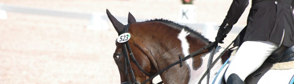 Harmony Horse Stables – 2 Trot Road, Littleton, MA