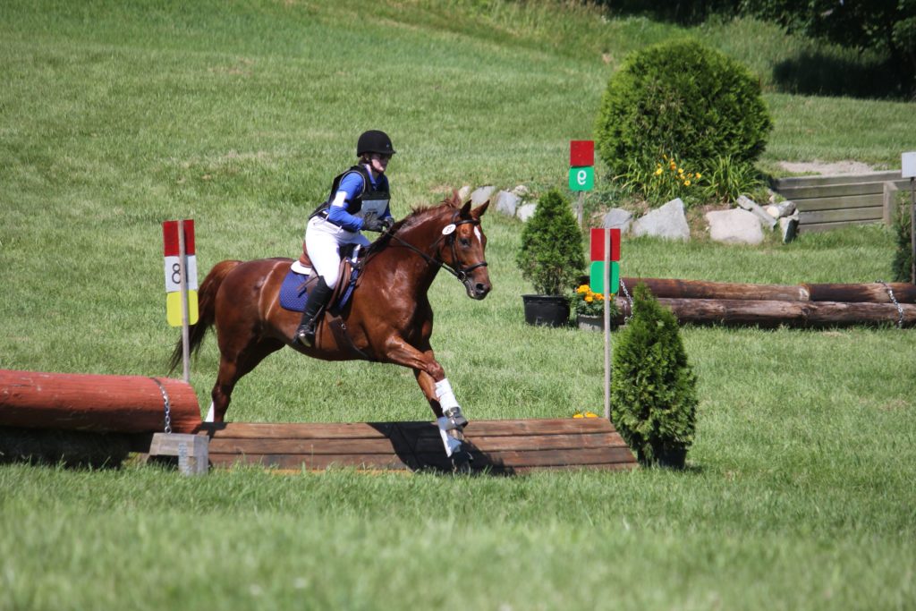 Team Harmony Gallery – Harmony Horse Stables