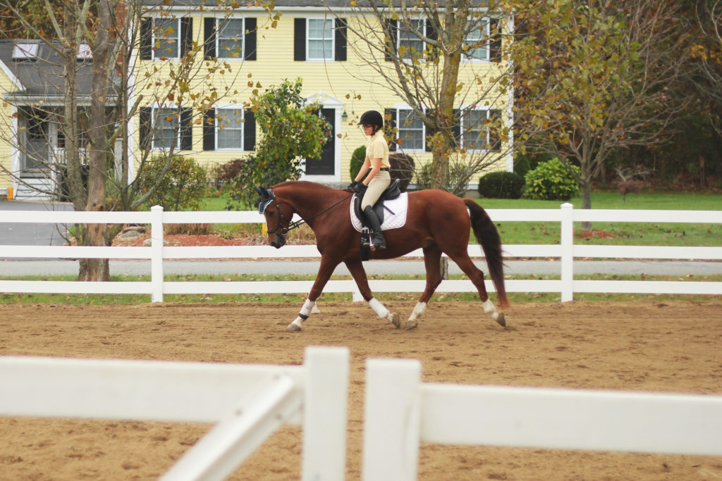 Team Harmony Gallery – Harmony Horse Stables