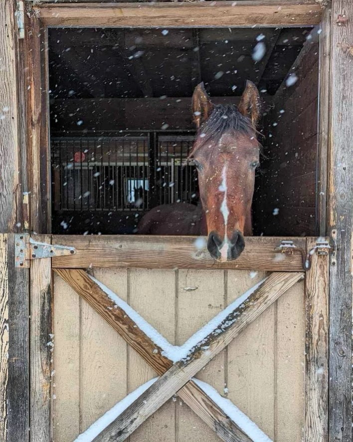 Facility – Harmony Horse Stables
